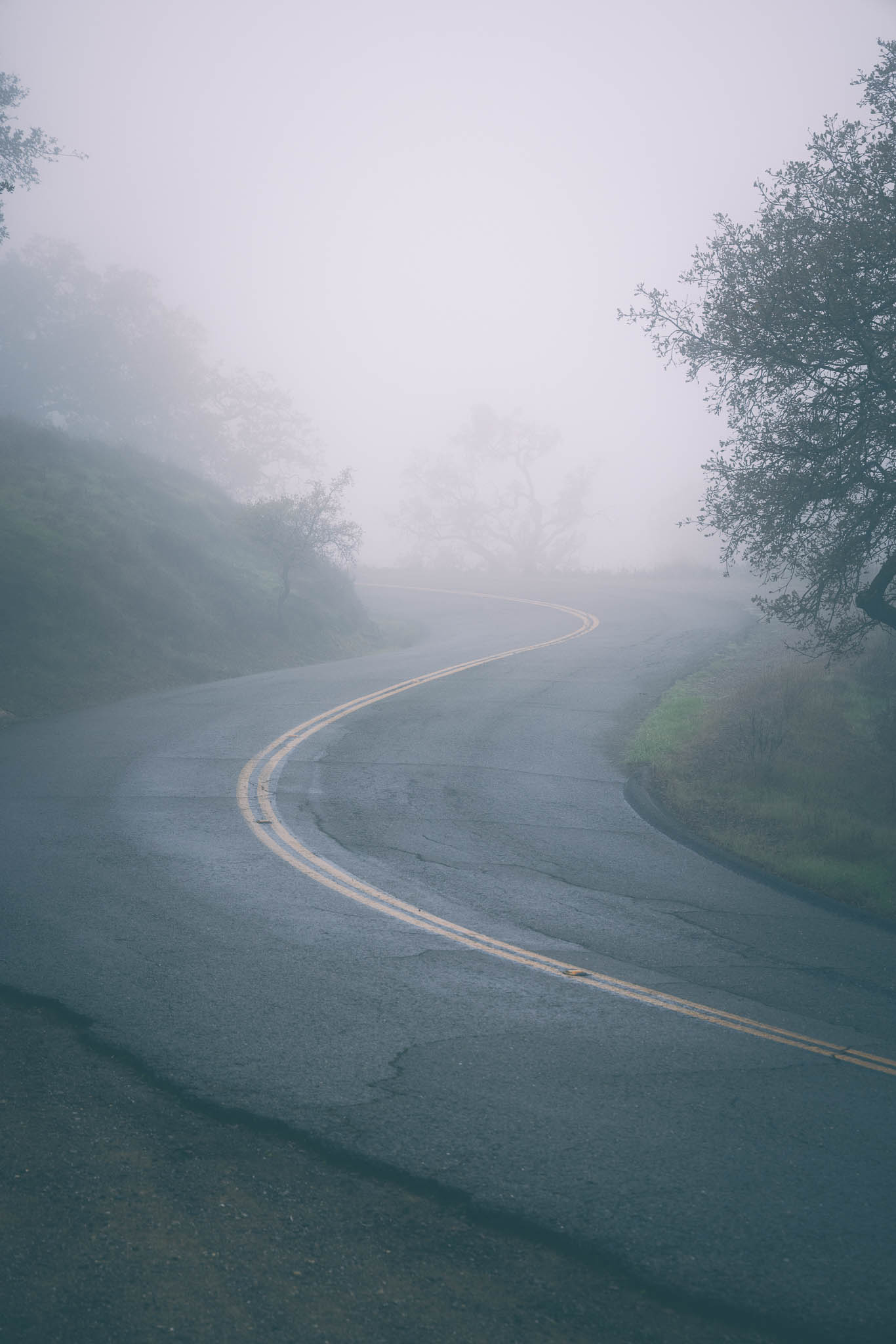 Above the Fog – Dashed Yellow Line